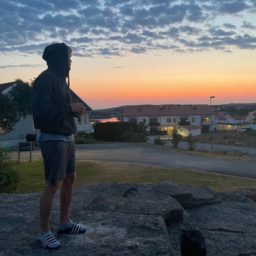 Stream Dirk Smits music | Listen to songs, albums, playlists for free ...