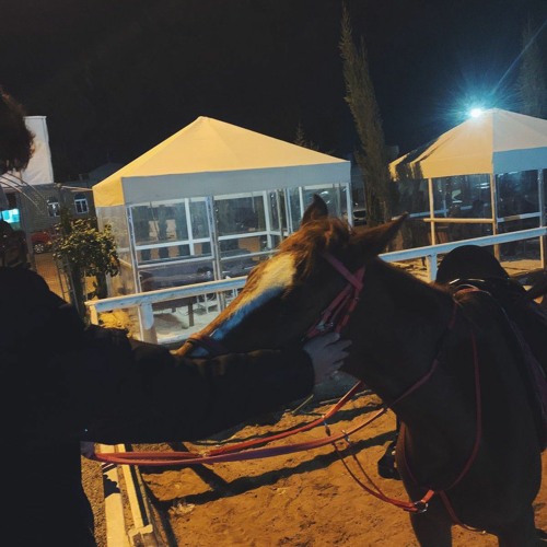 Stream Moath Daja music | Listen to songs, albums, playlists for free ...