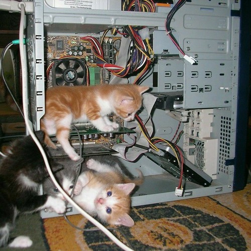 Stream DaddysMemeSkank music | Listen to songs, albums, playlists for ...