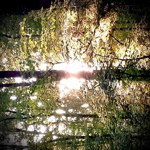 Stream Dao brintni music | Listen to songs, albums, playlists for free ...