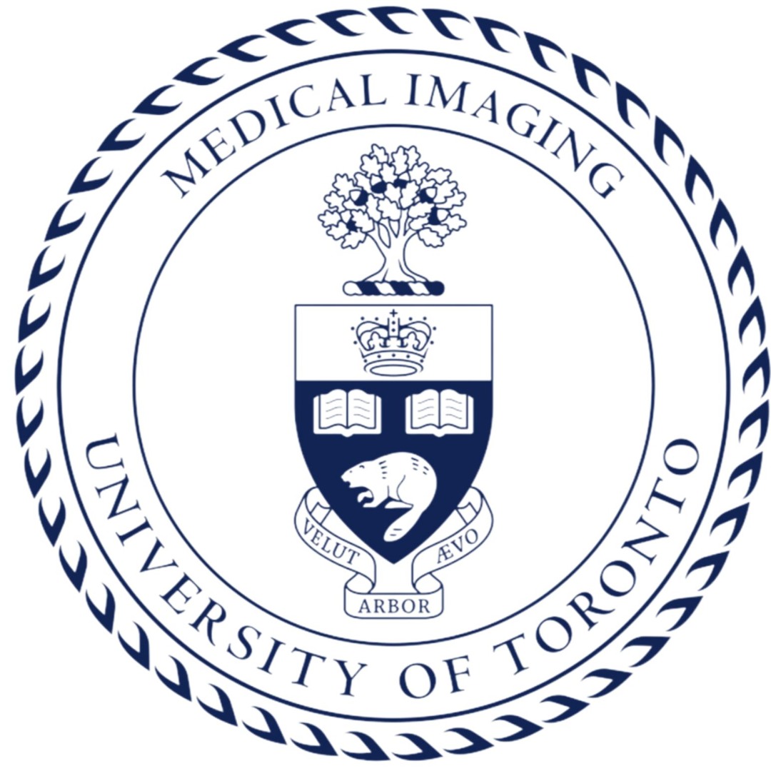 Stream UofT Medical Imaging Fellowship Application 2027-2028 by Medical ...