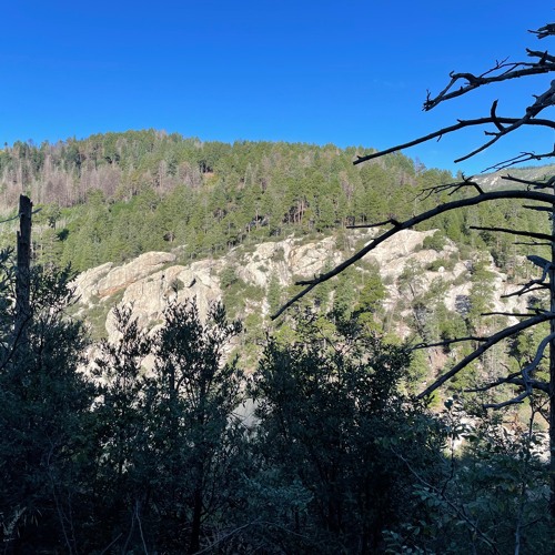 Stream Mike McCormick music | Listen to songs, albums, playlists for ...