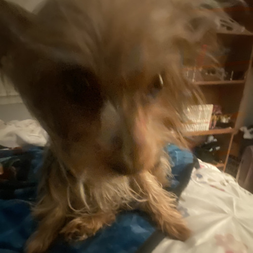 Stream Hello Pixie music | Listen to songs, albums, playlists for free ...