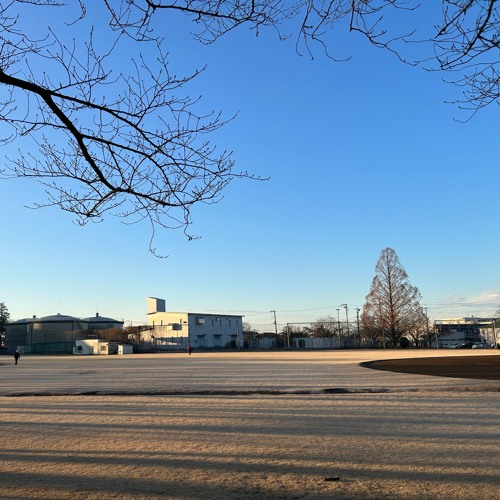 Stream SB10 music | Listen to songs, albums, playlists for free on ...