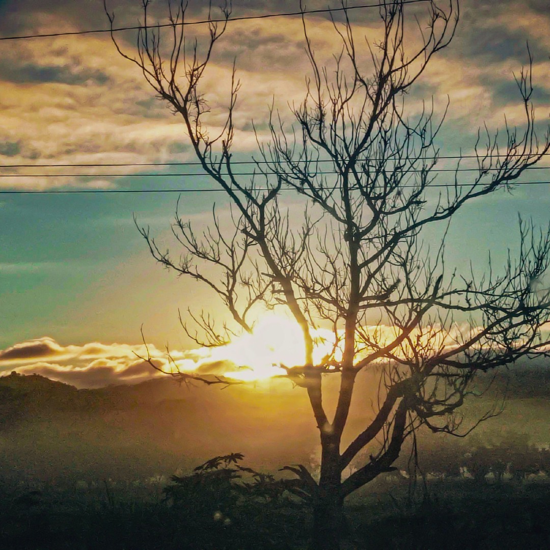 Stream uiop archive music | Listen to songs, albums, playlists for free ...