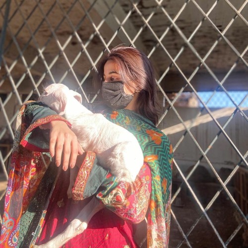 Stream AMNA RIAZ music | Listen to songs, albums, playlists for free on ...