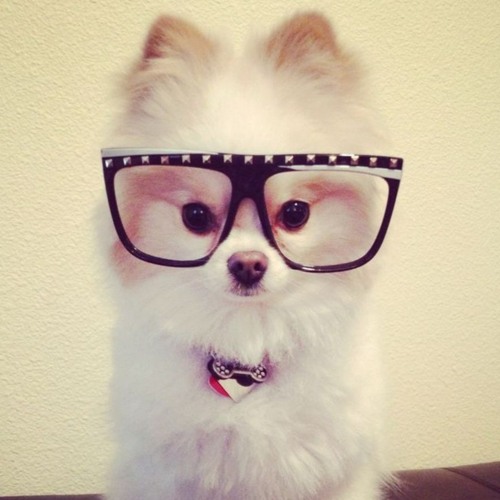 Stream 5L | Listen to top hits and popular tracks online for free on ...