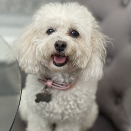 Stream Elle Jayne Adams music | Listen to songs, albums, playlists for ...