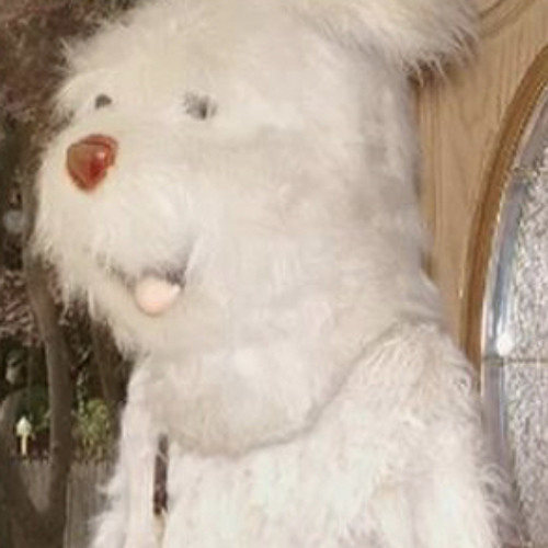 Stream 2c music | Listen to songs, albums, playlists for free on SoundCloud