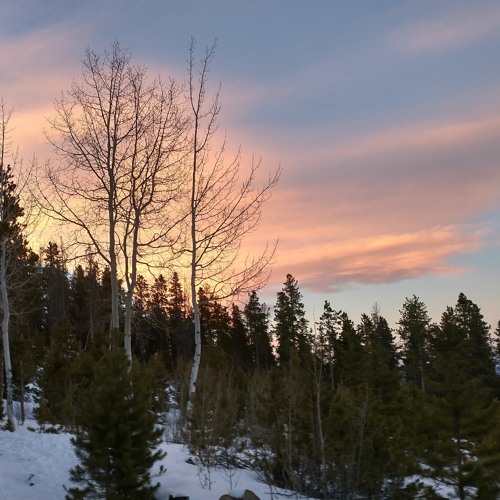 Stream Derek Freed music | Listen to songs, albums, playlists for free ...