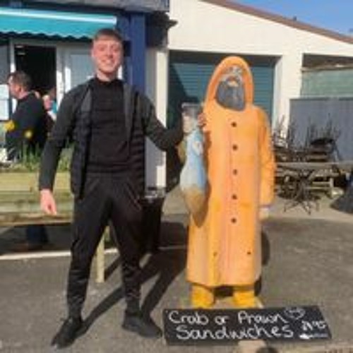 Stream Sam Hopper music | Listen to songs, albums, playlists for free ...