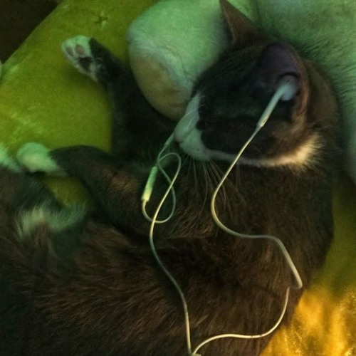 Stream nezzy music | Listen to songs, albums, playlists for free on ...