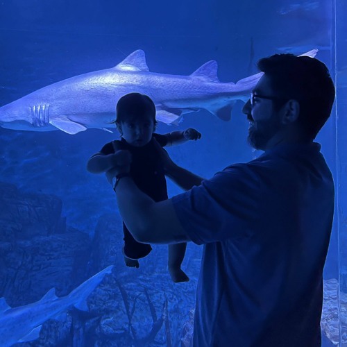 Stream Craig Jacoby music | Listen to songs, albums, playlists for free ...