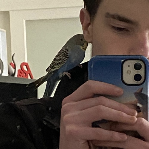 Stream Ryan Rolfe music | Listen to songs, albums, playlists for free ...