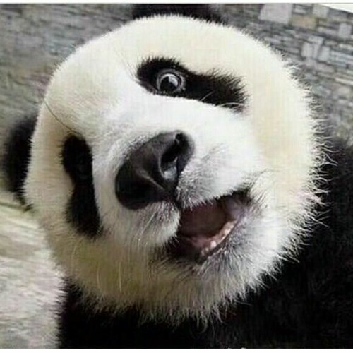 Stream Jerry Delay 2020 music | Listen to songs, albums, playlists for ...