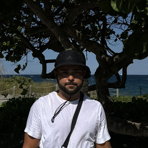 Stream Daniel Cordeiro Ferraz music | Listen to songs, albums ...