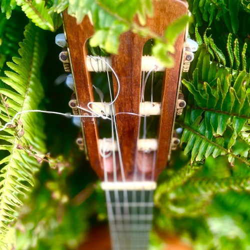 Stream reganperrymusic music | Listen to songs, albums, playlists for ...