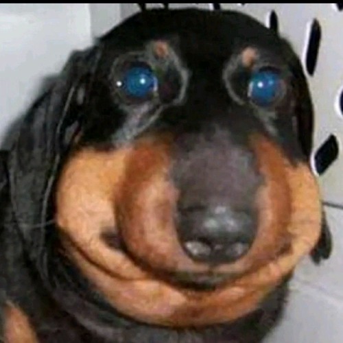 Stream @your_boi _joe0 on tiktok music | Listen to songs, albums ...