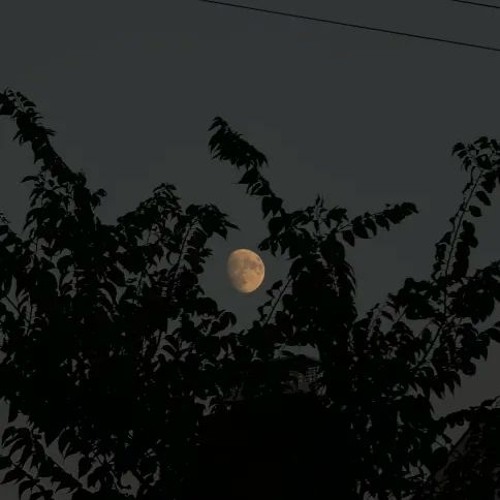 Stream BBBBBBBBBBBBBBBB by dRoo | Listen online for free on SoundCloud