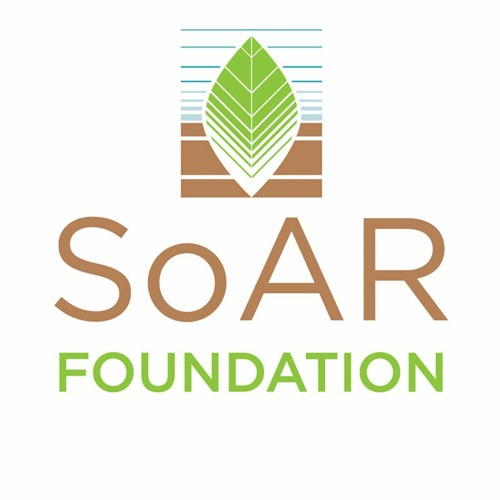 Stream SoAR Foundation / FedByScience music | Listen to songs, albums ...