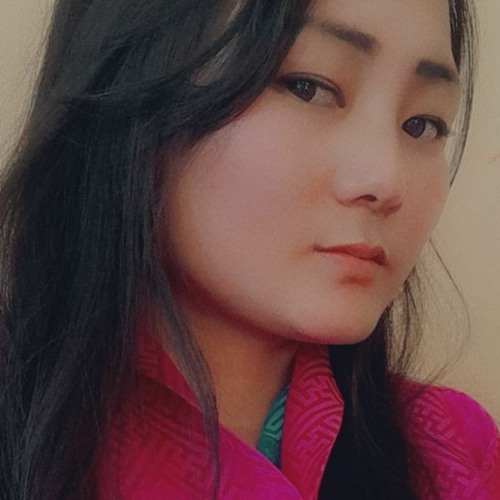 Stream SaNgay DEma music | Listen to songs, albums, playlists for free ...