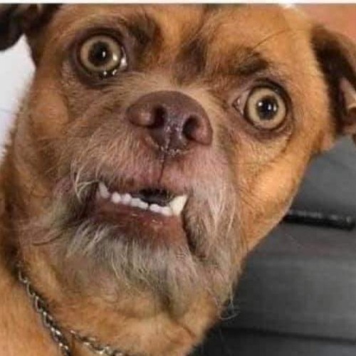 Stream ch33ky5h4gg5 music | Listen to songs, albums, playlists for free ...