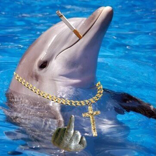 Stream Gangsta Dolphin music | Listen to songs, albums, playlists for ...