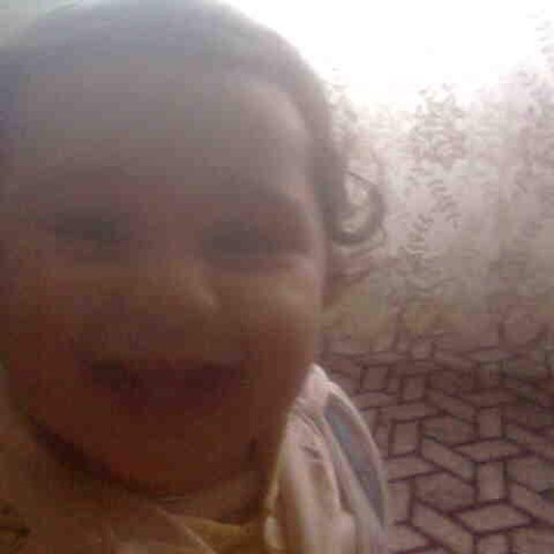 Stream babochka music | Listen to songs, albums, playlists for free on ...