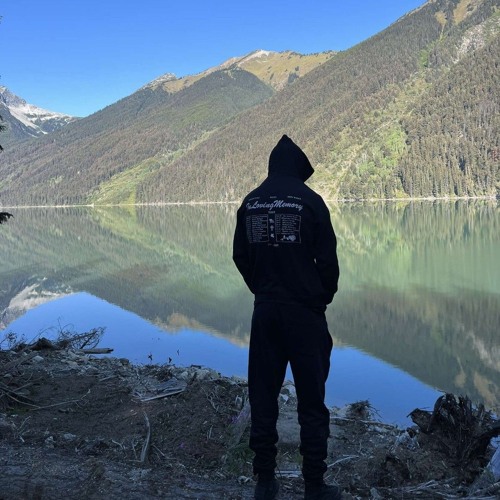 Stream Dustin Schmidt music | Listen to songs, albums, playlists for ...