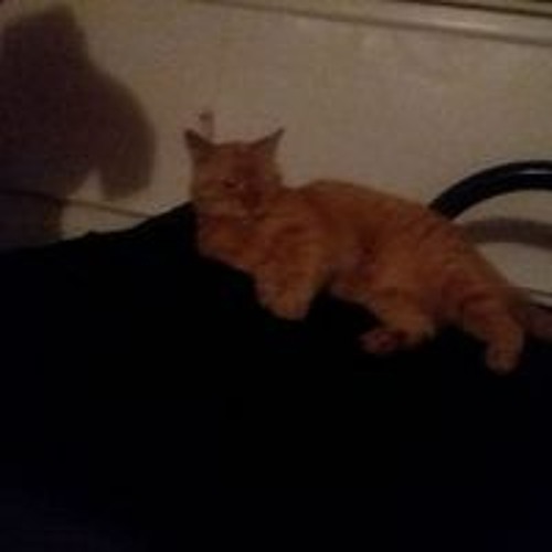 Stream Intro by James Palmore | Listen online for free on SoundCloud