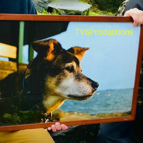 Stream T.dog music | Listen to songs, albums, playlists for free on ...