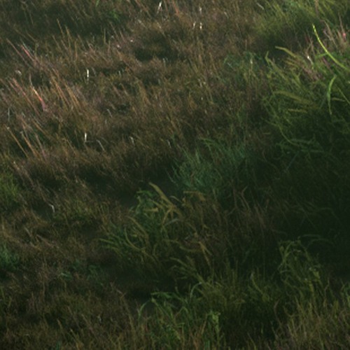 Stream glokash music | Listen to songs, albums, playlists for free on ...