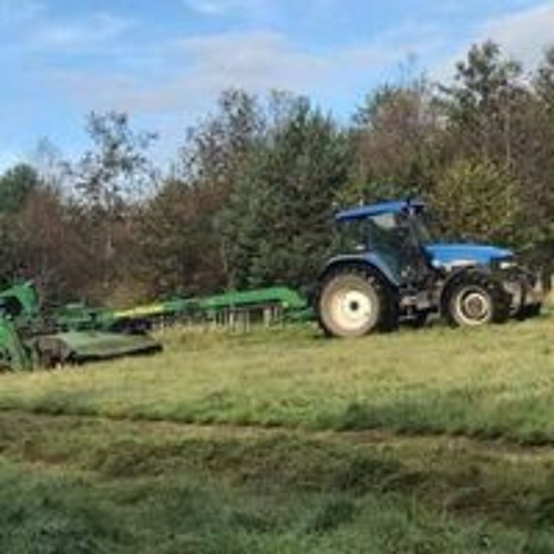 Stream Joe Hamill music | Listen to songs, albums, playlists for free ...