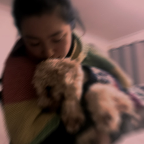 Stream Daft dimbo music | Listen to songs, albums, playlists for free ...