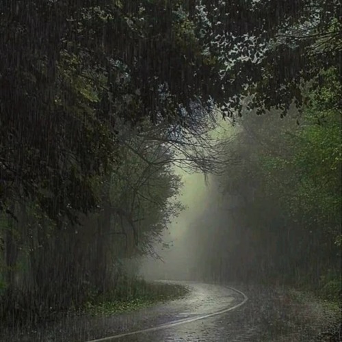 Stream Entity-12 music | Listen to songs, albums, playlists for free on ...