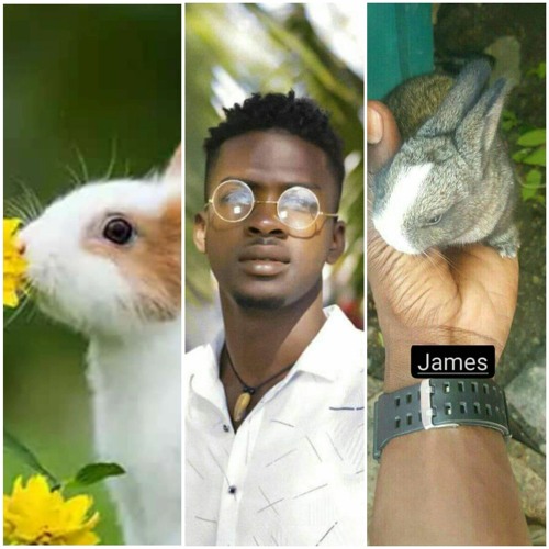 Stream Pierre Richard Gabriel music | Listen to songs, albums ...