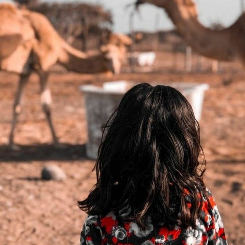 Stream noyar music | Listen to songs, albums, playlists for free on ...