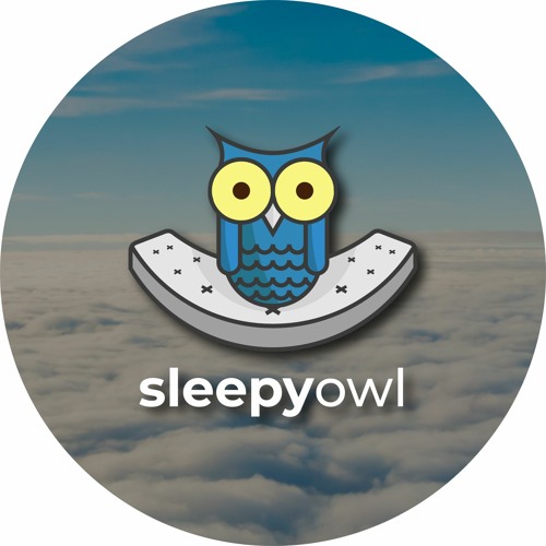 Stream Sleepy Owl music | Listen to songs, albums, playlists for free ...