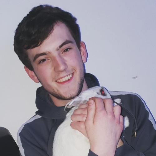 Stream Travis Shepherd music | Listen to songs, albums, playlists for ...