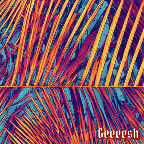 Stream geeeesh music | Listen to songs, albums, playlists for free on ...