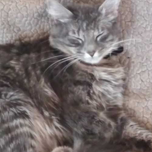 Stream Mahkai music | Listen to songs, albums, playlists for free on ...