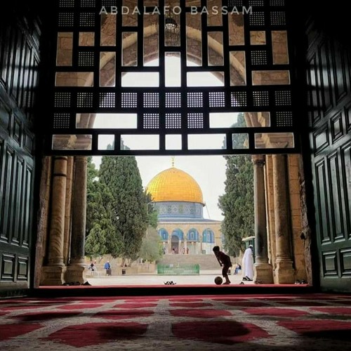 Stream osama ikhdair music | Listen to songs, albums, playlists for free on SoundCloud