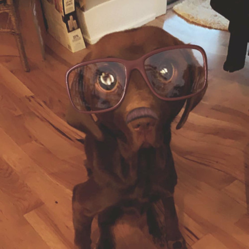 Stream Its A Variety Mix by logan sisson | Listen online for free on ...