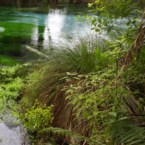 Stream rhyda music | Listen to songs, albums, playlists for free on ...