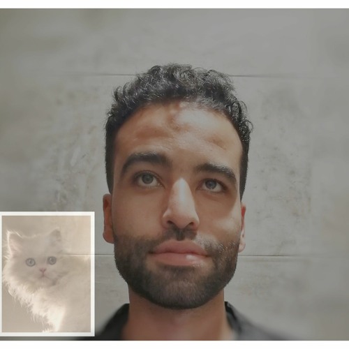 Stream MÓtaz Mousa music | Listen to songs, albums, playlists for free ...