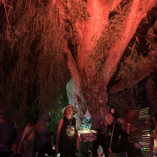 Stream Giving Tree Totem music | Listen to songs, albums, playlists for ...