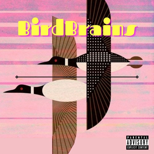 Stream BirdBrains music | Listen to songs, albums, playlists for free ...