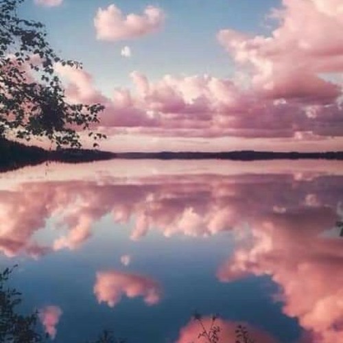 Stream Mariam Bassam music | Listen to songs, albums, playlists for ...