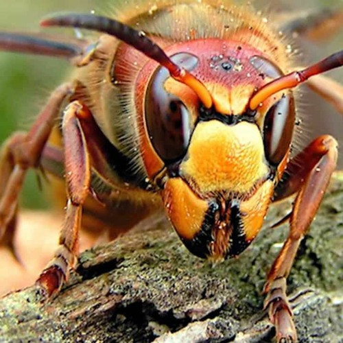 Stream WXSP music | Listen to songs, albums, playlists for free on ...