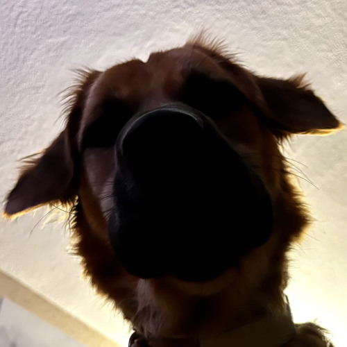 Stream Kami Meier music | Listen to songs, albums, playlists for free ...